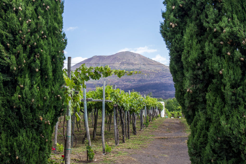 Interesting Facts about Mt. Vesuvius You Should Know – Cantina del ...