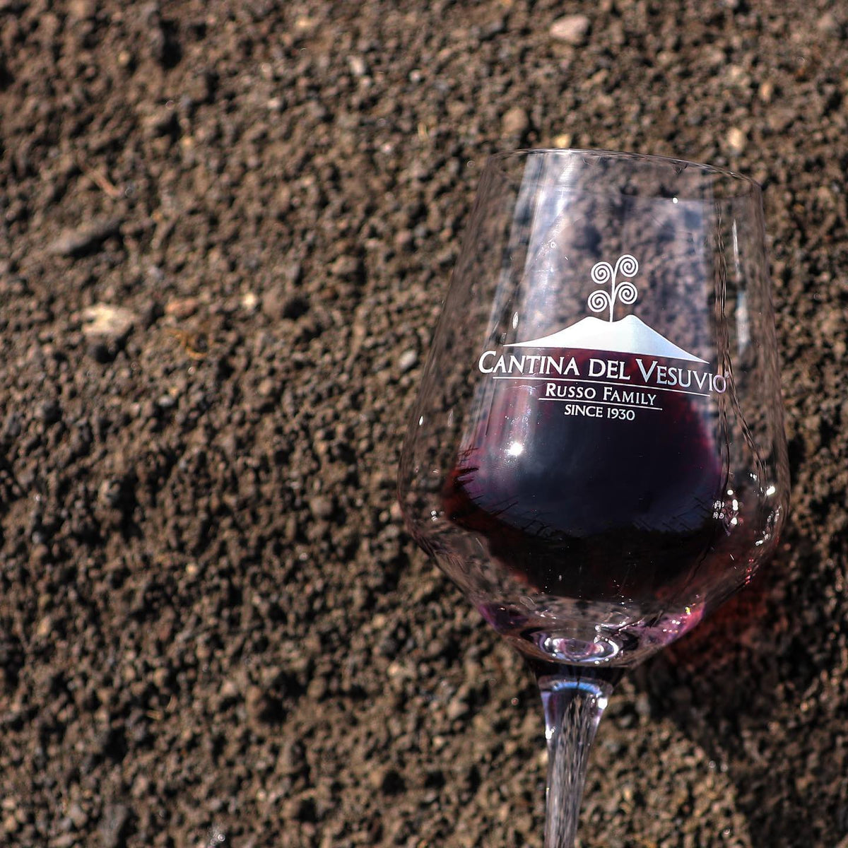 Volcanic Wine: A Hot Topic – Cantina del Vesuvio wine